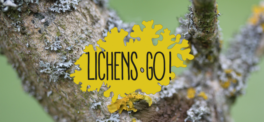 Lichens Go! Découvrez le lien entre les lichens et la pollution ...