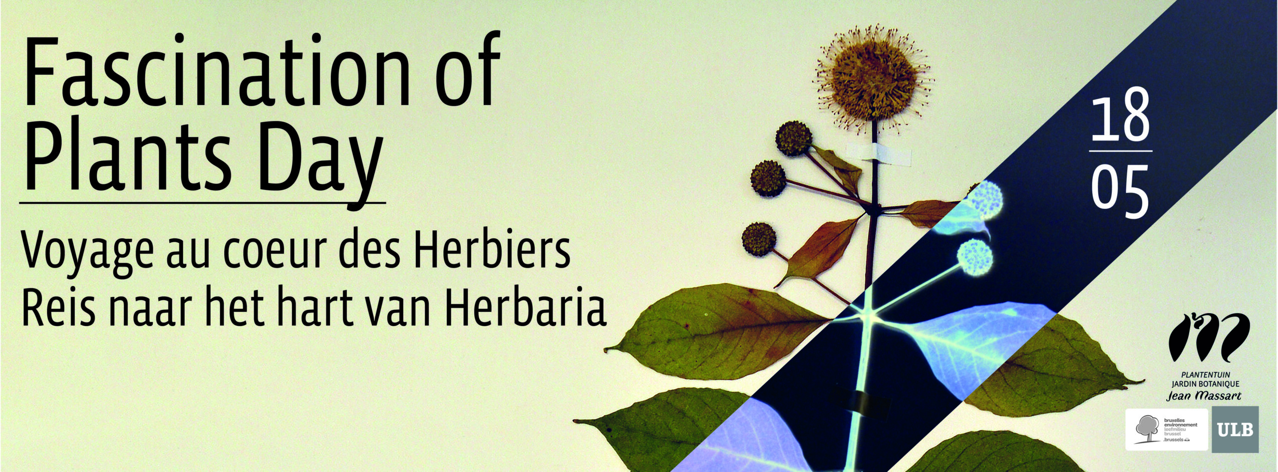 Fascination of plants day